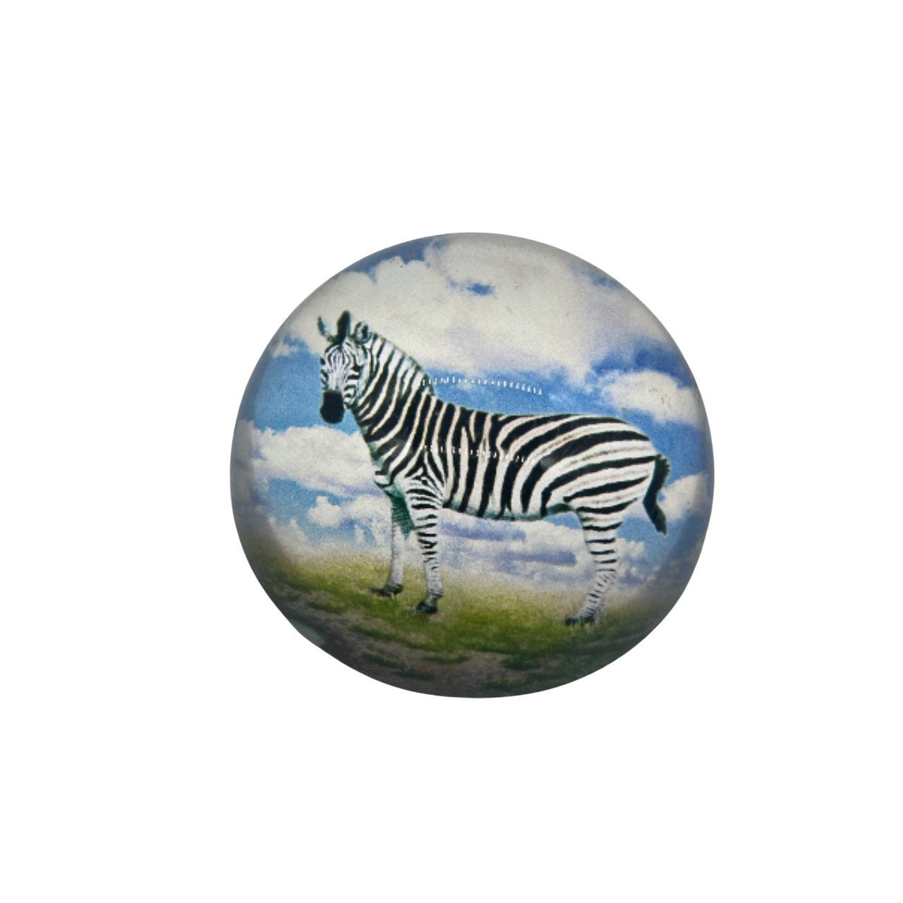 Zebra Paperweight