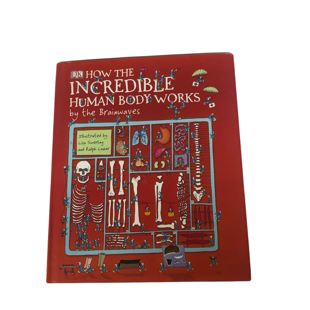 How the Incredible Human Body Works (s)