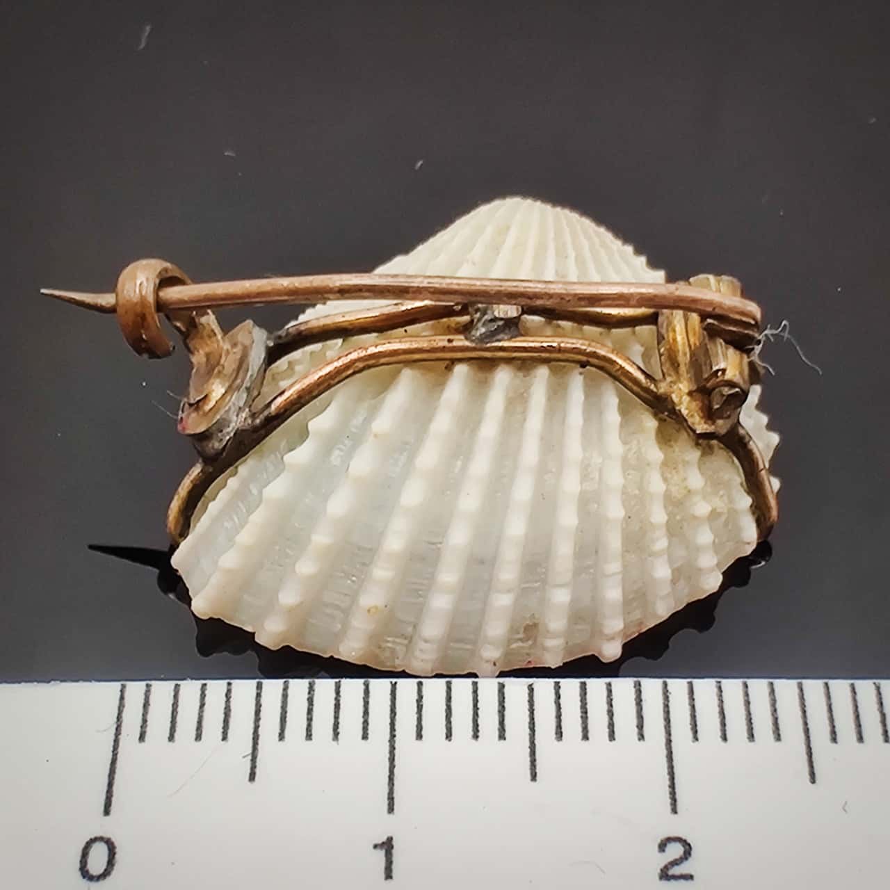 Antique Shell Brooch Set With Mother of Pearl & Gold Map Of Tasmania ...