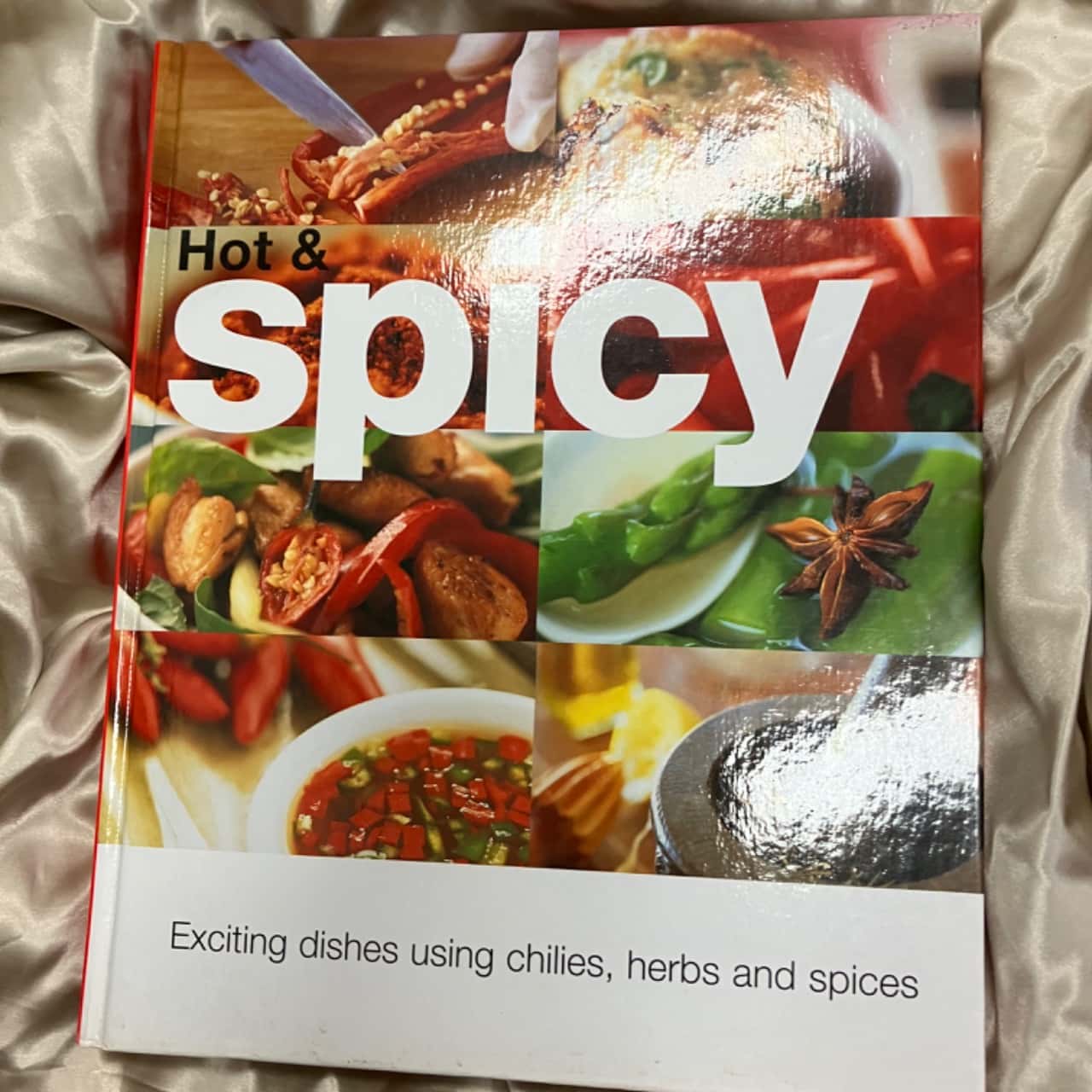Hot n Spicy Exciting dishes with chilli..