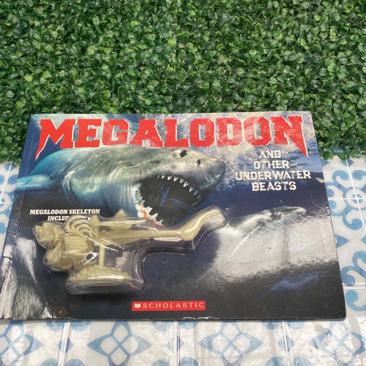 Megalodon (s)
