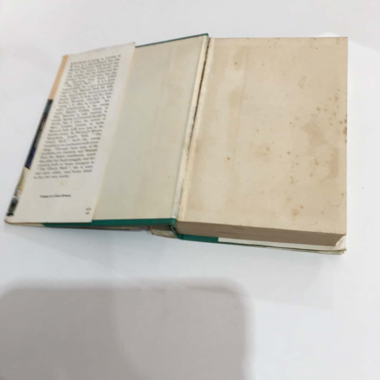 Mabel Ester Allan :The Conch Shell 1958