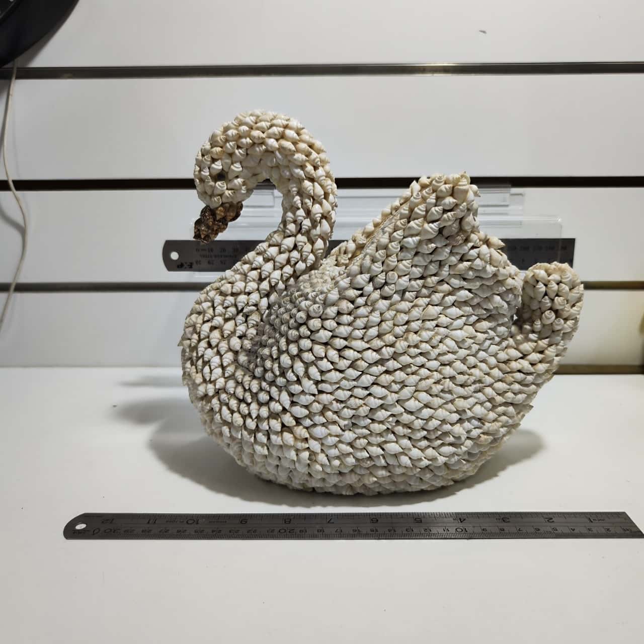Shelly the Swan (s)