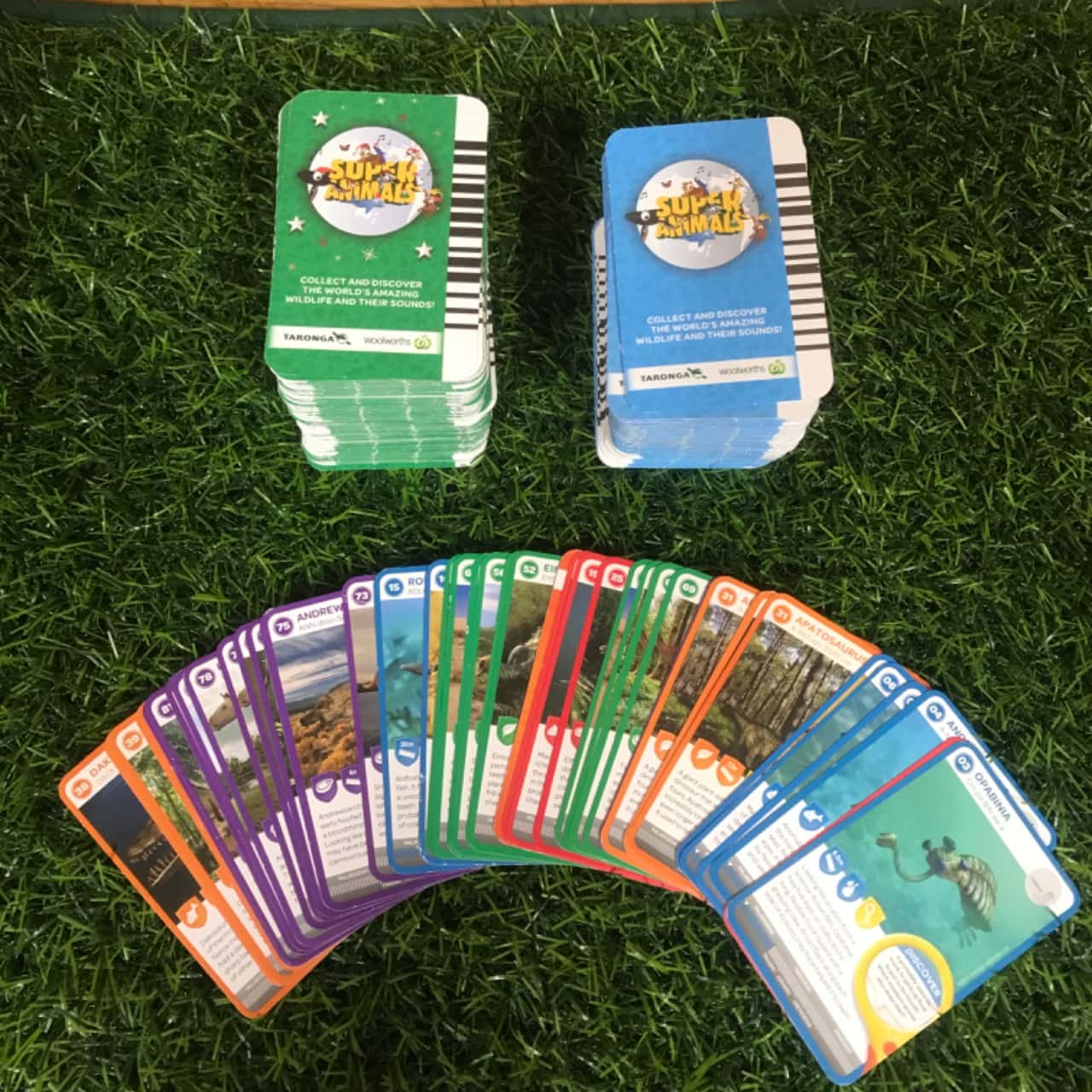 Bulk Lot of Woolworths Ancient & Super Animals Collectors Cards