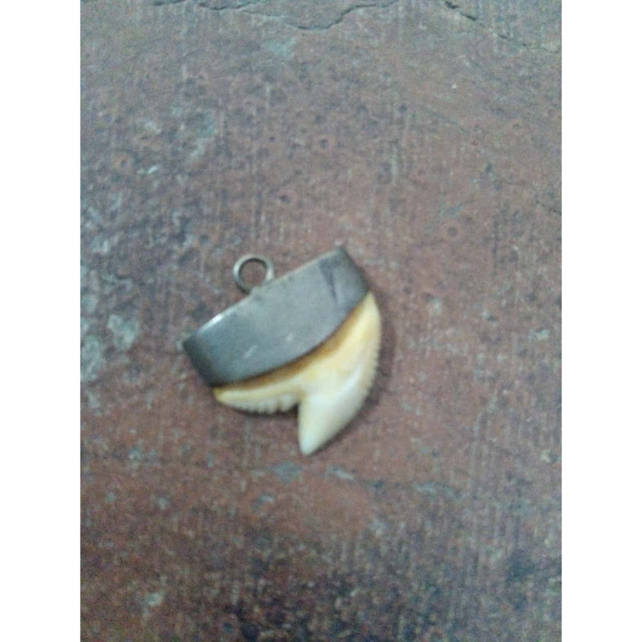 Vintage Stamped 'SILVER' Shark Tooth Pendant