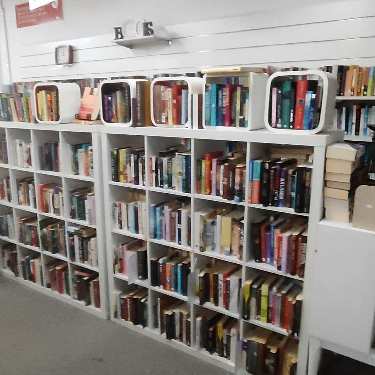 50 Random Books (s)