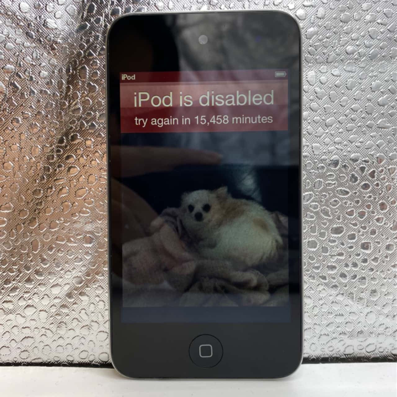 iPod Model A1267 16GB 4th Gen (DISABLED)(s)