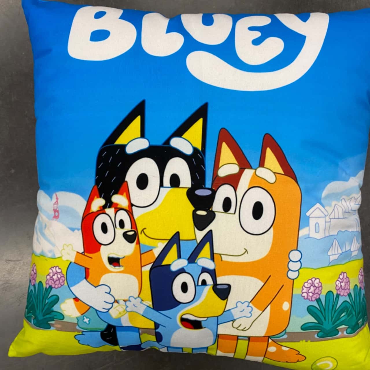BLUEY CUSHION (s) - New Without Tags | Salvos Stores