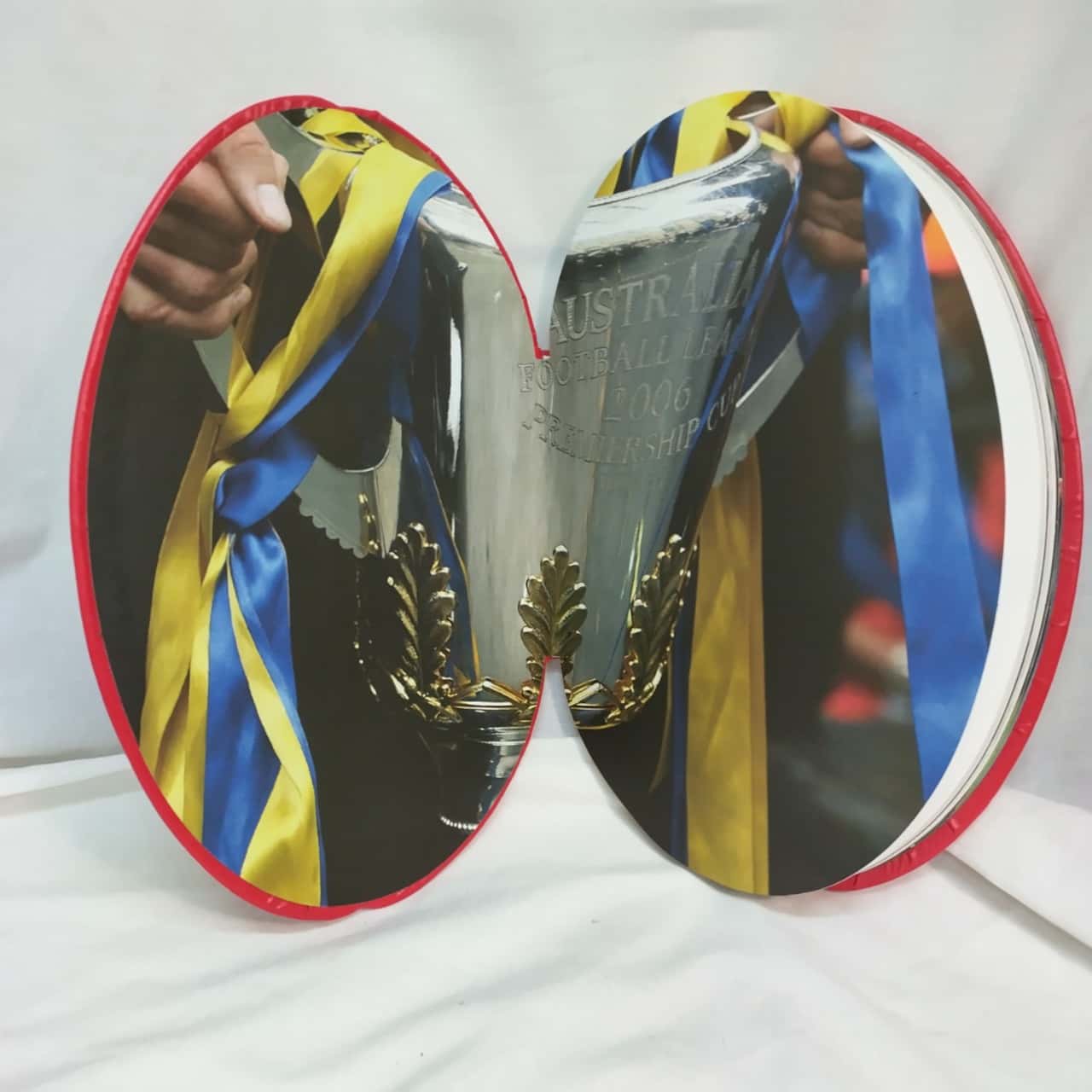 The History of AFL Book