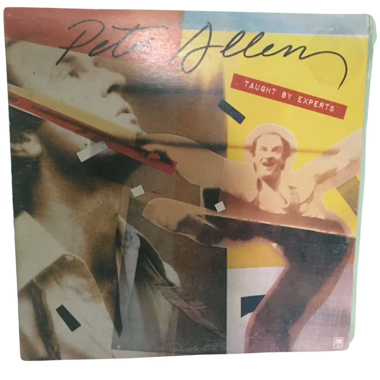 12” Vinyl Peter Allen Taught By Experts (s)