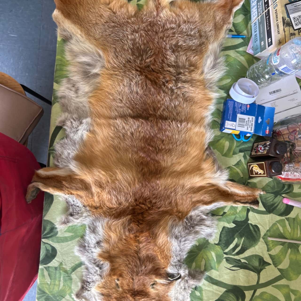 Real Red fox pelt (b25)(s)