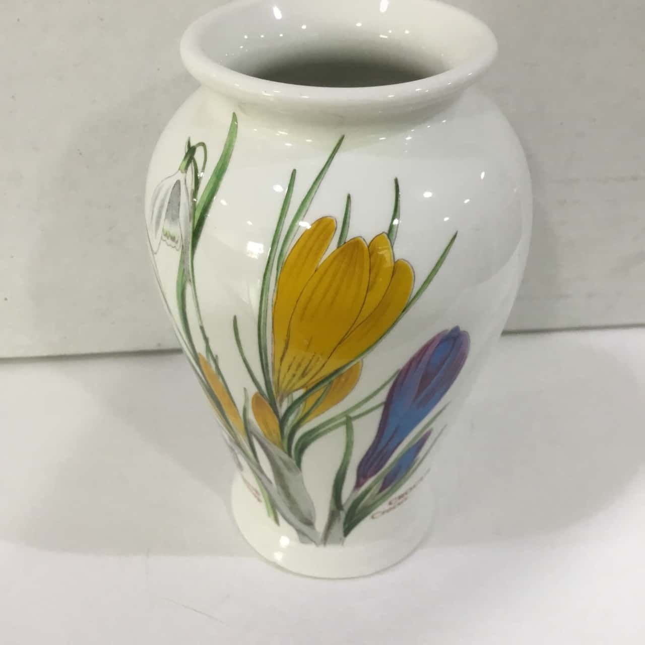 Vintage Port Meirion Botanic Garden Flower Vase (s)