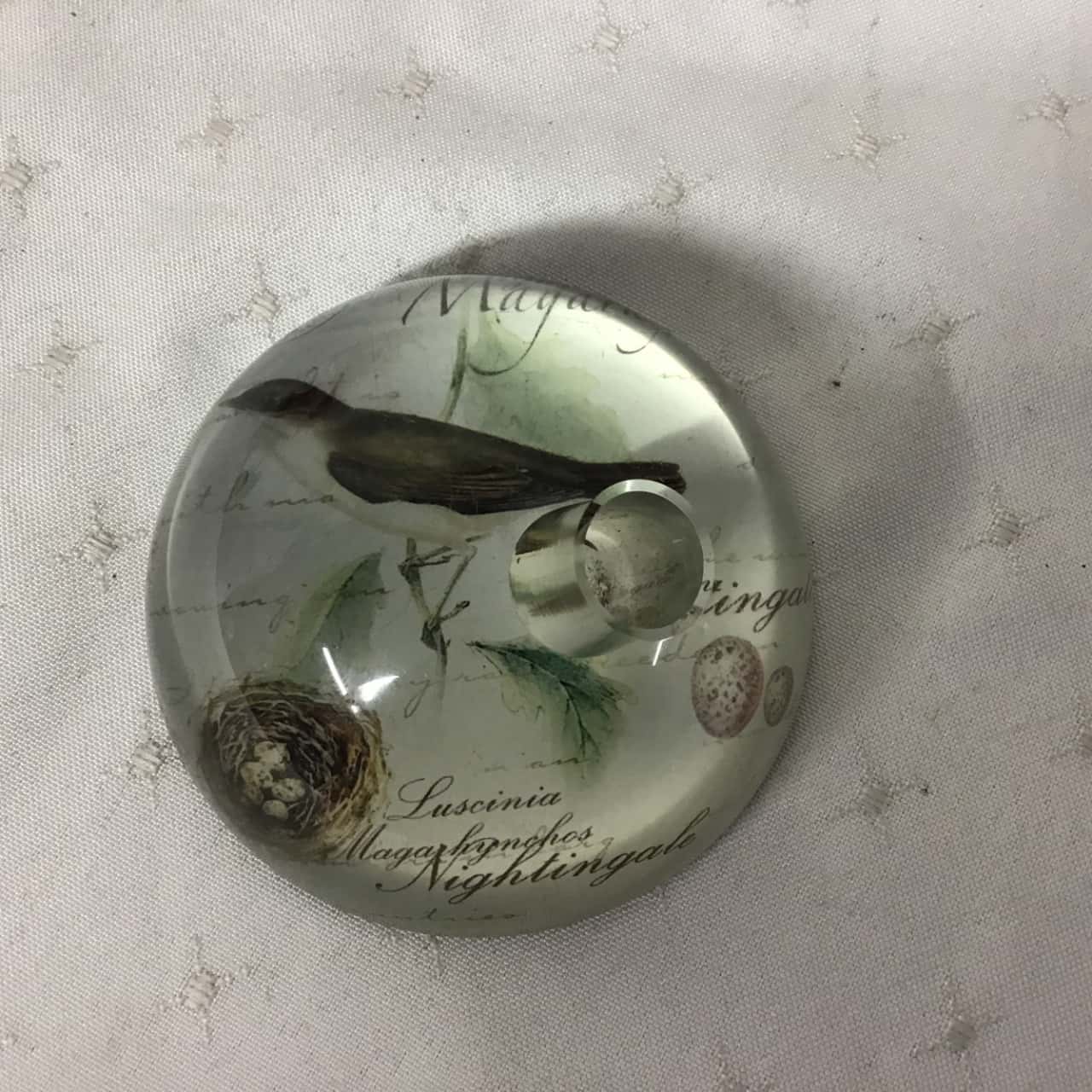 Round “Nightingale” Glass Pen Holder / Paperweight