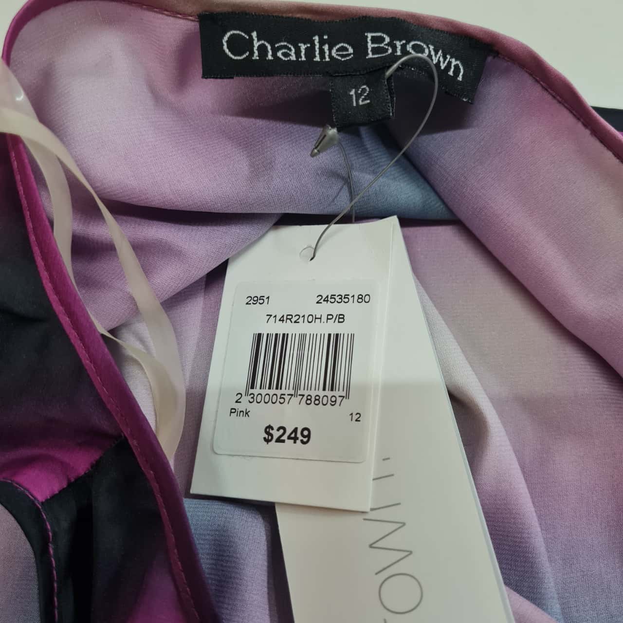 Charlie Brown Womens Size 12 Dress BNWT