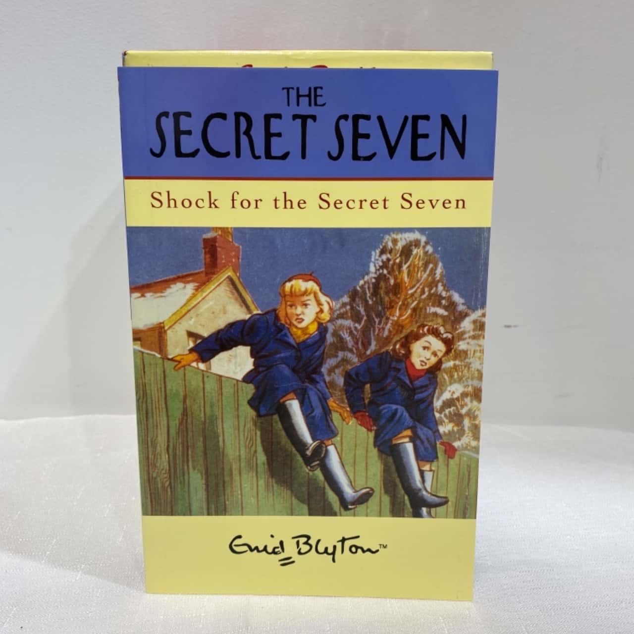 Enid Blyton ‘The Secret Seven’ Set of 16 Books(s)