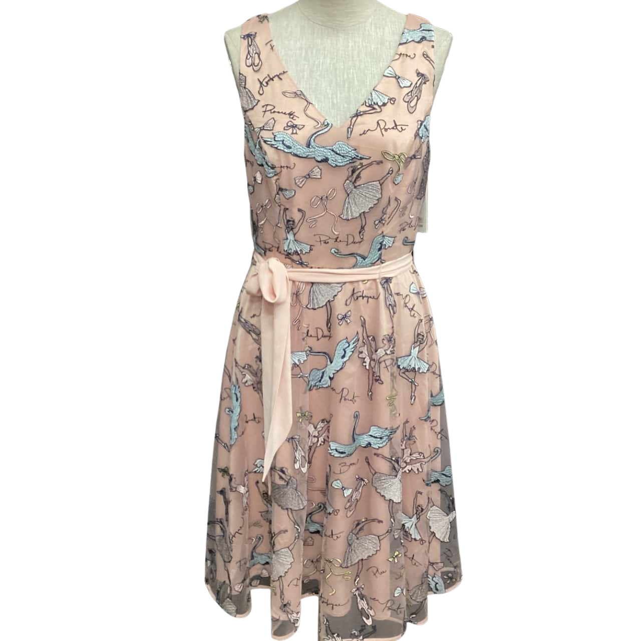 Review Swan Lake Dress Size 10 Sleeveless Blush (s) - New With Tags ...