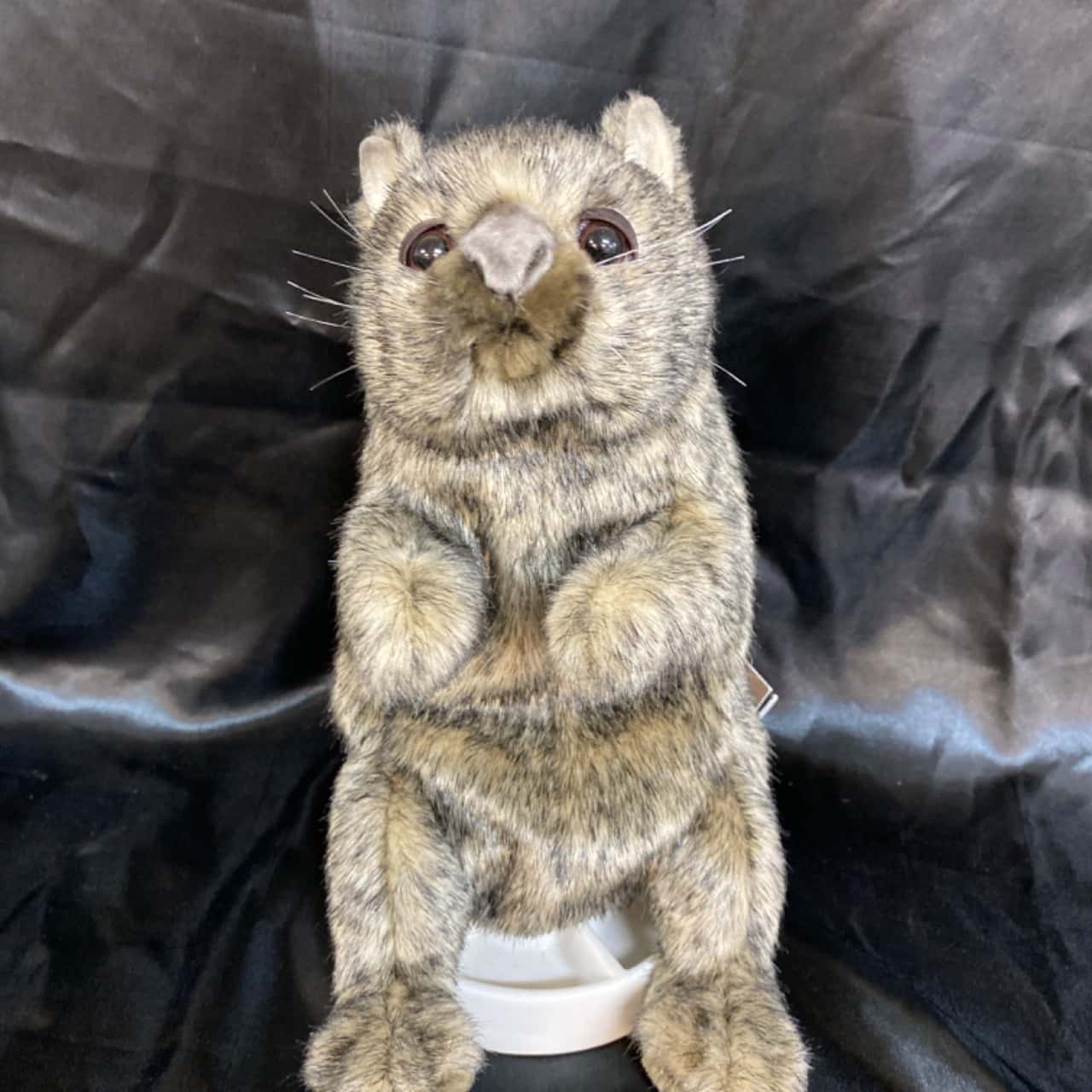 BNT Hansa Wombat Hand Puppet(s) - New With Tags | Salvos Stores