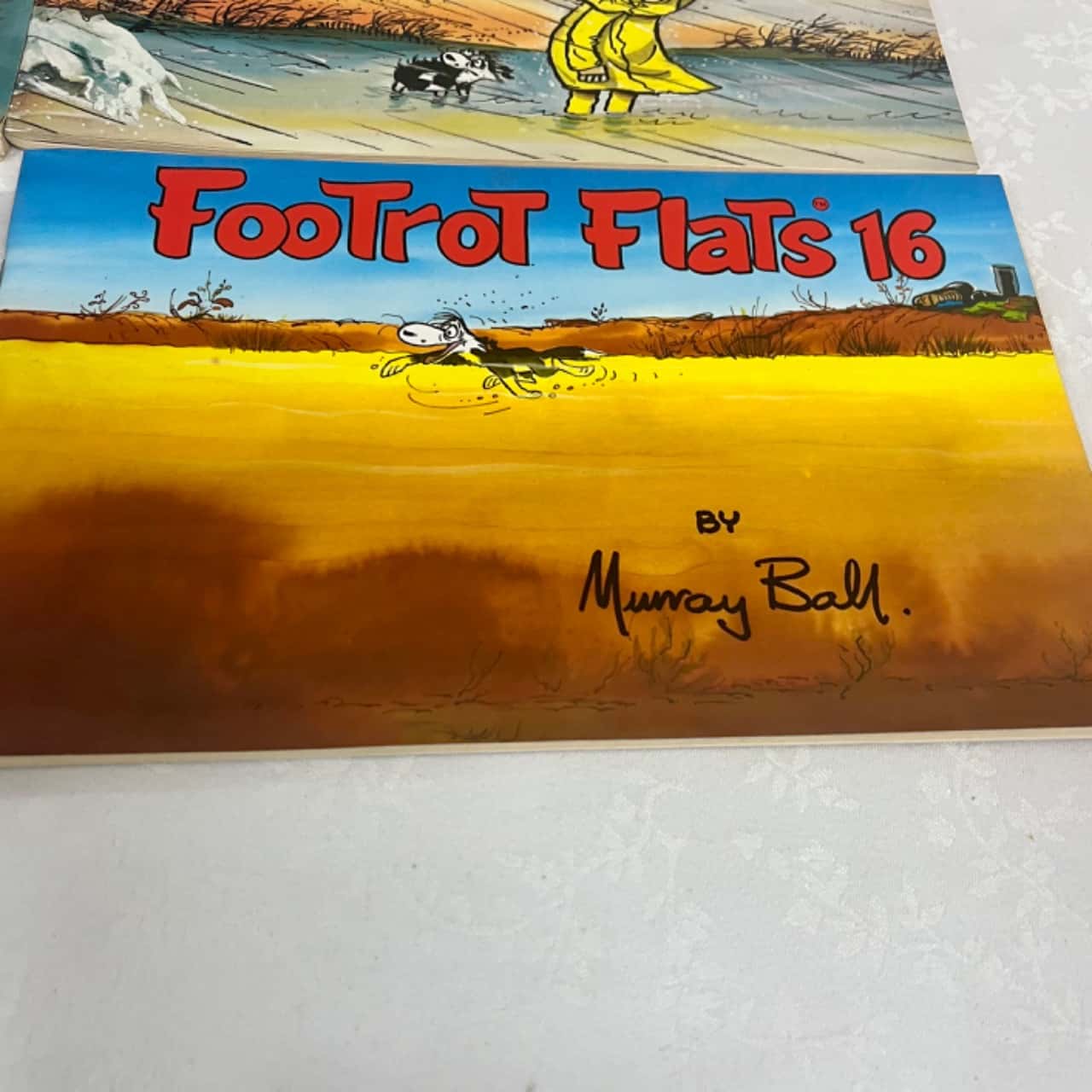 Footrot Flats x 5 Books - perfect for the Footrot fan(s)