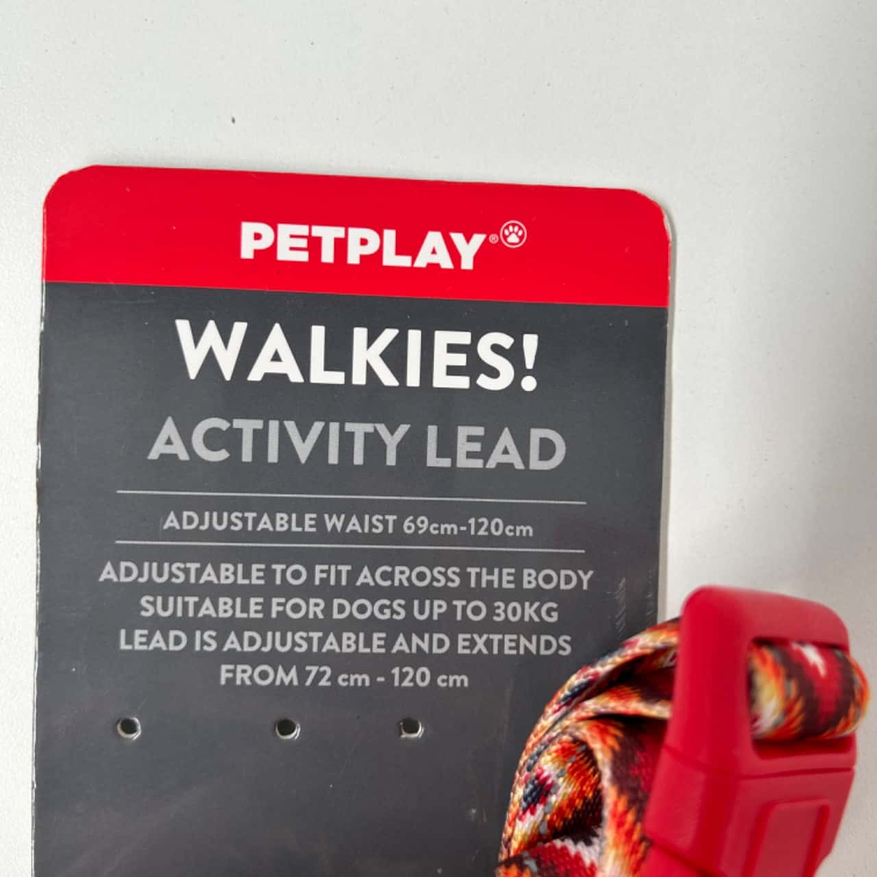 NEW - Petplay! activity lead(s)
