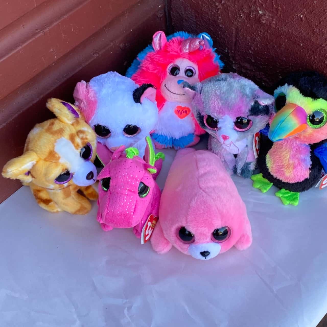 Ty Beanie Boos_ Salvos Bundle (s)