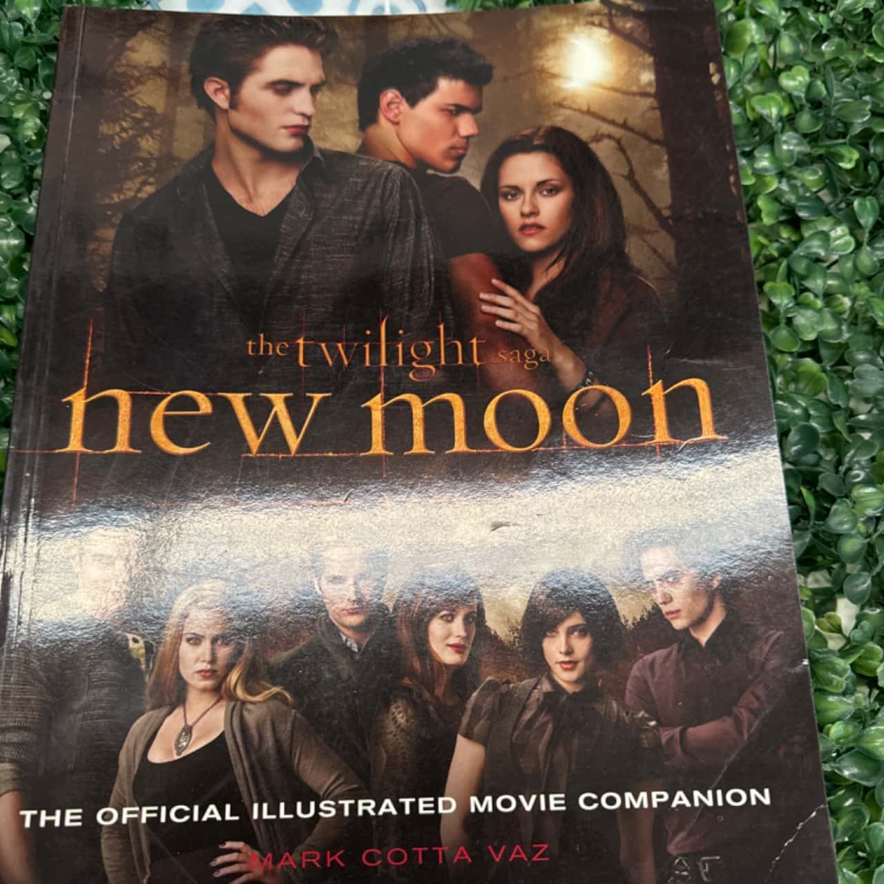 Twilight new moon (s)