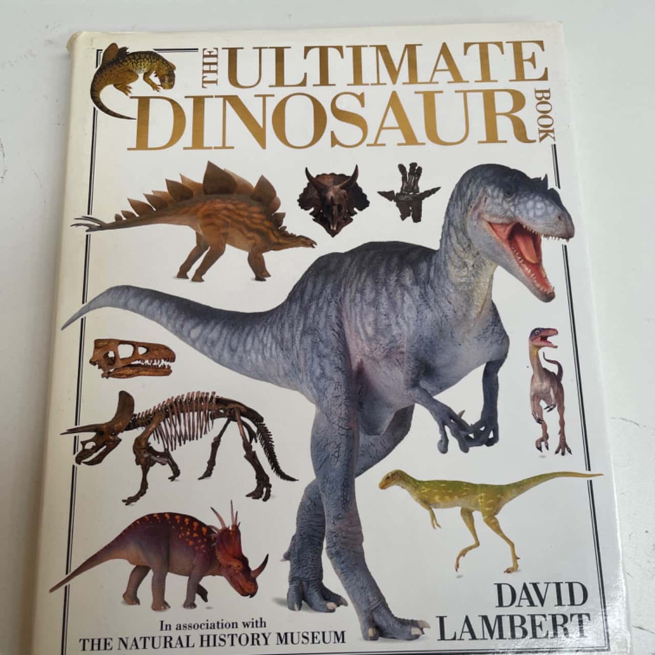 The Ultimate Dinosaur Book(s)