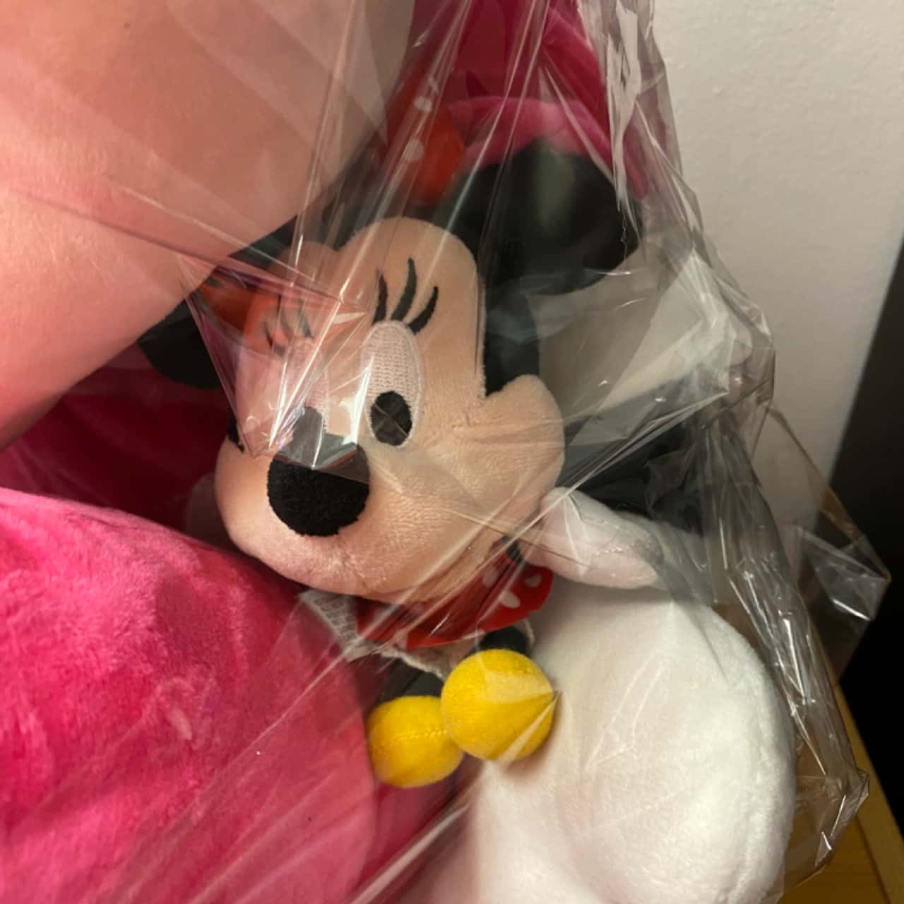 REDUCED Minnie Mouse/Mickey mouse gift pack- please read description (s)