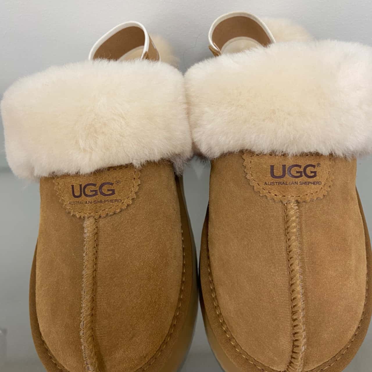 Australian Shepherd Ugg platform scuffs