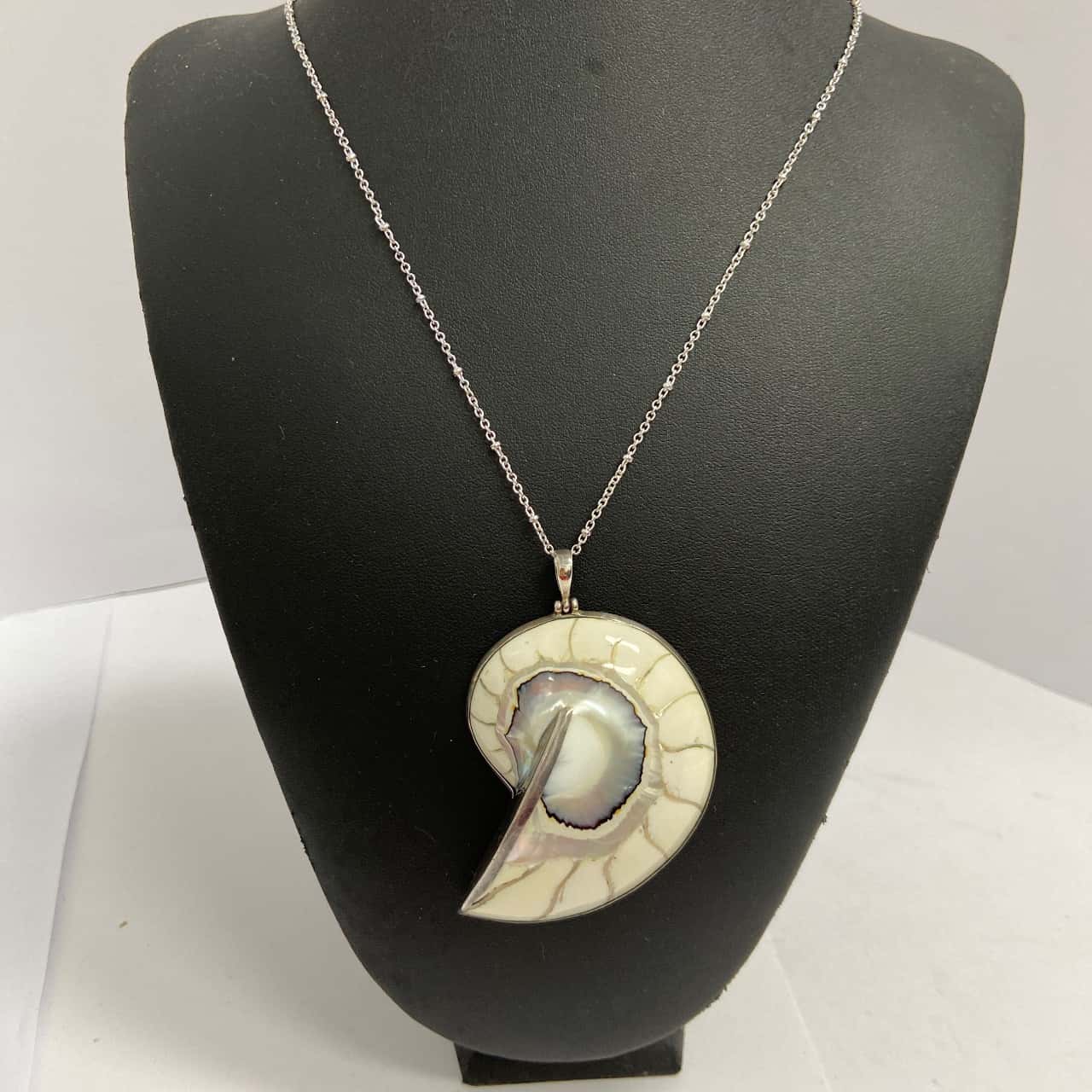 Womens Nautilus Shell Necklace(s)