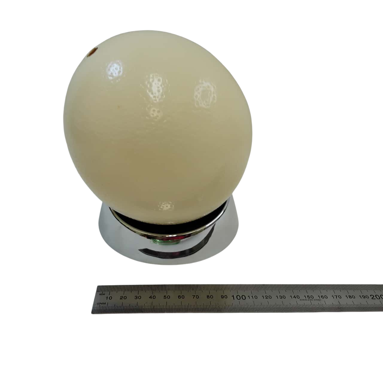 Ostrich Round Egg(s) - Used Very Good | Salvos Stores