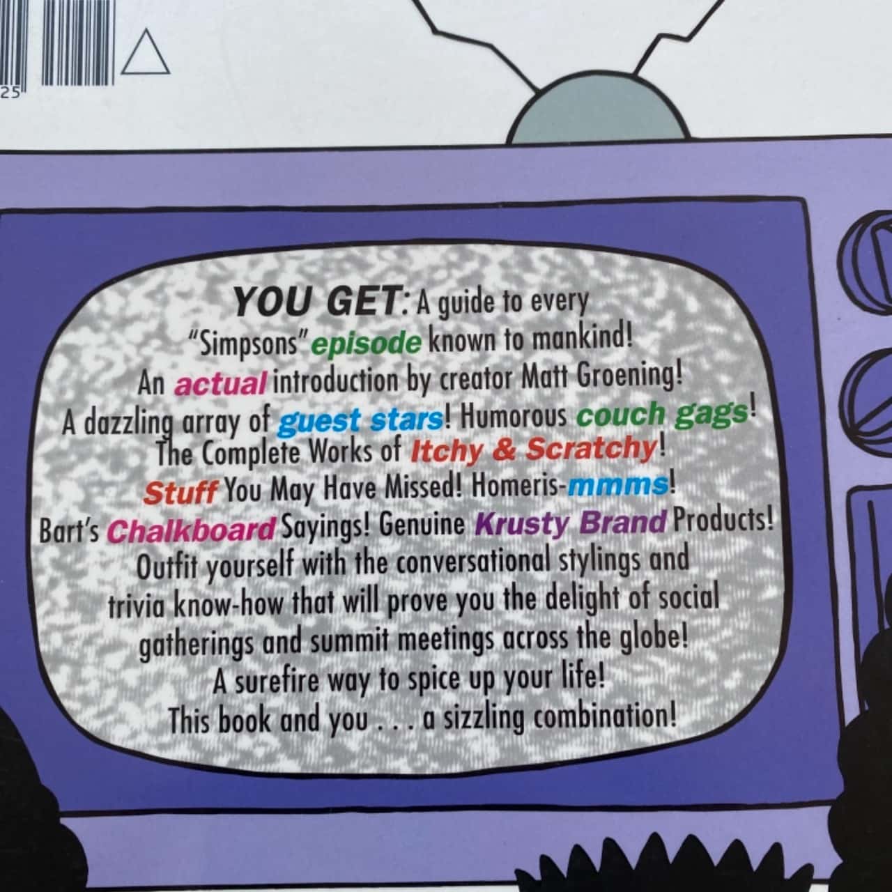 The Simpsons A Complete Guide To Our Favourite Family Book