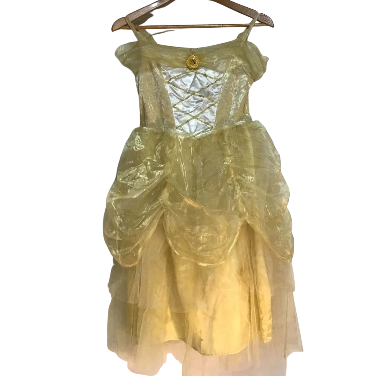DisneyLand Girls Size 12 Dress Gold