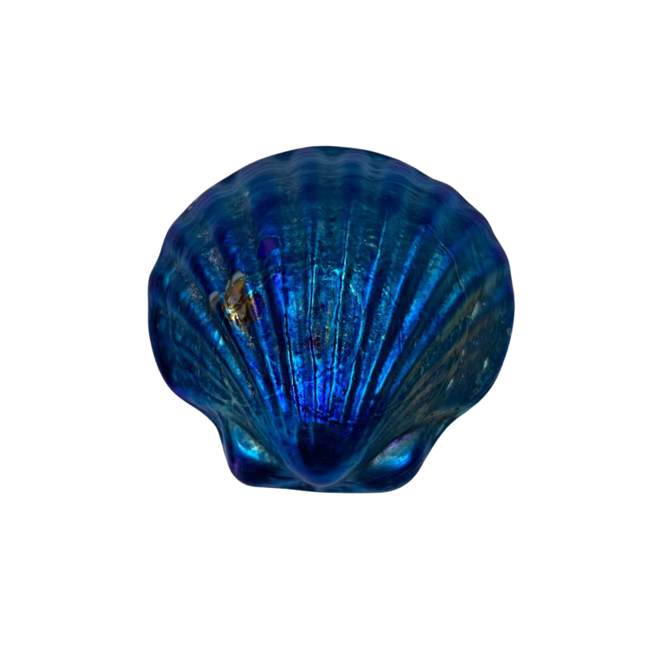 Retro Vintage Colin Heaney Glass Seashell (c. 1995) Iridescent blue ...
