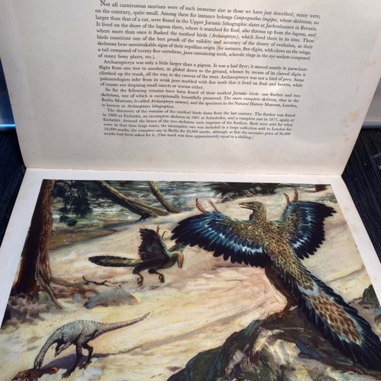 Prehistoric animals 50s 60s