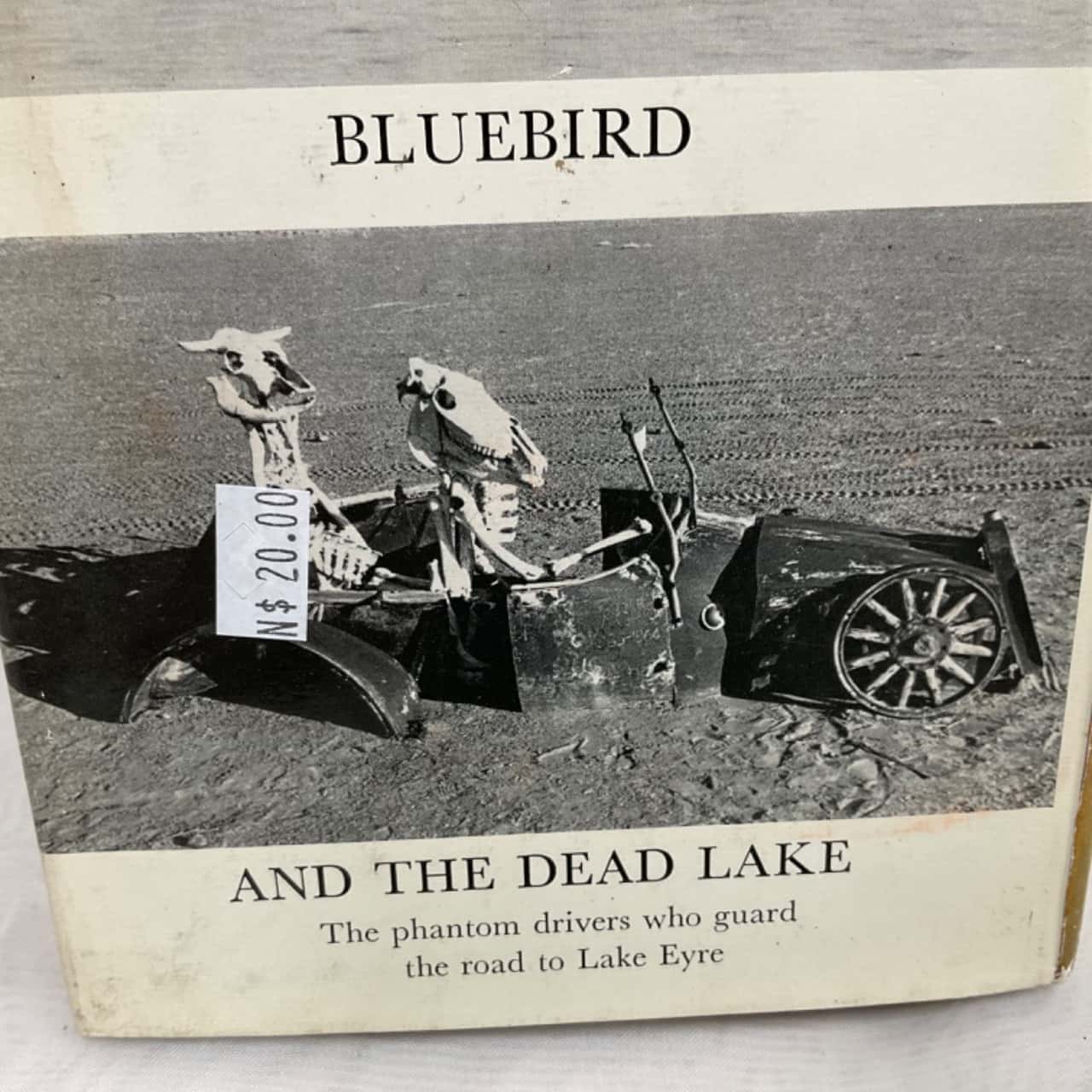 Bluebird and the Dead Lake - The story of the strangest record ever won