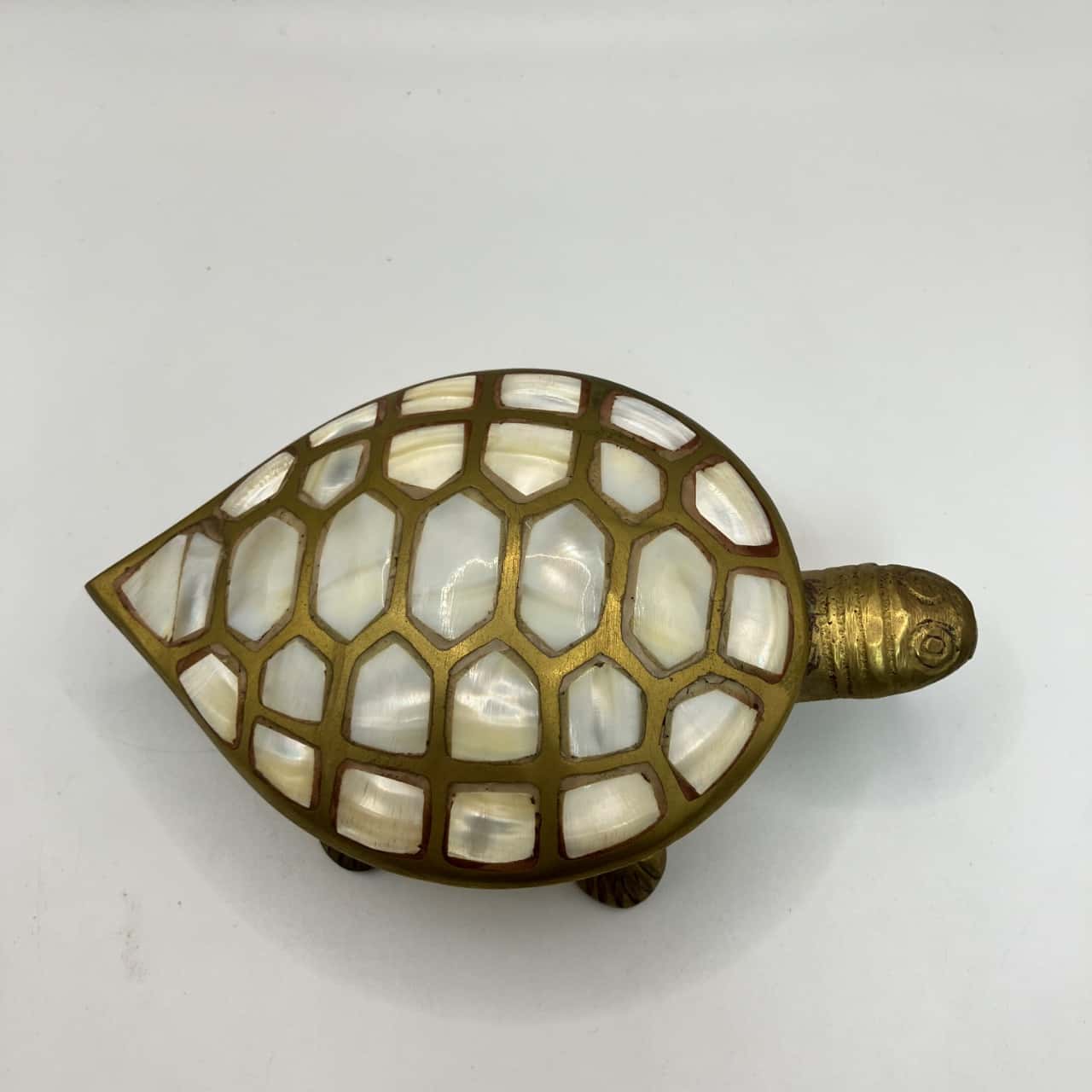 Brass/Shell Turtle(s)