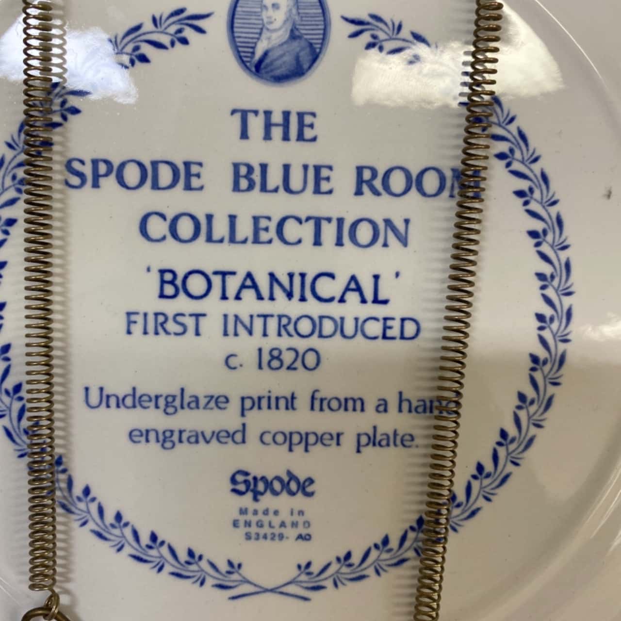The Spode Blue Room Collection “Botanical “ Collector Plate Blue/White(s)