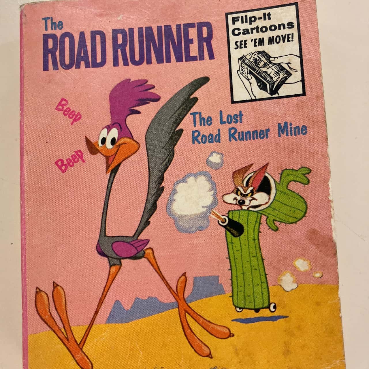 The Road Runner The Last Road Runner Mine(s)