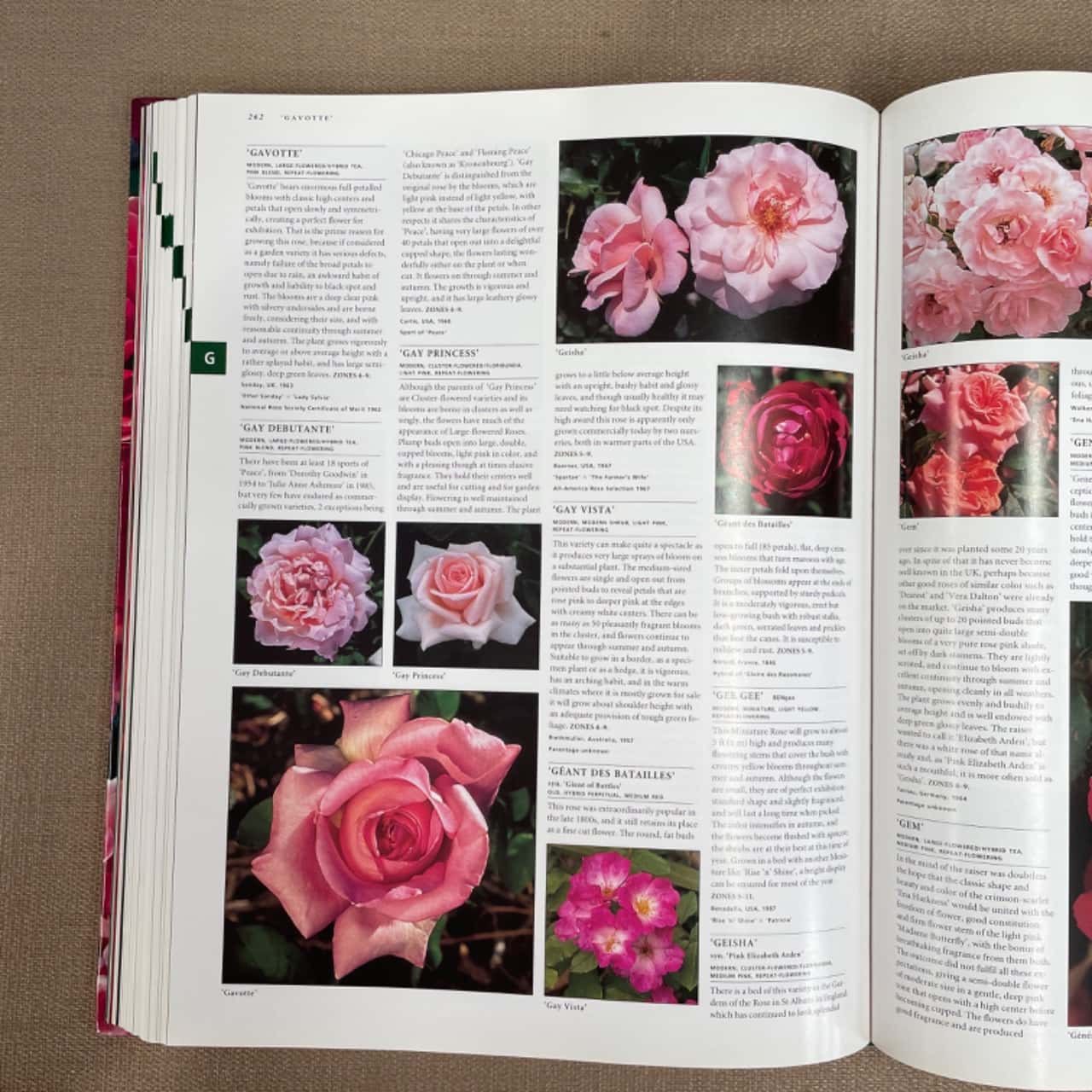 Botanica’s Roses - The Encyclopedia of Roses(s)