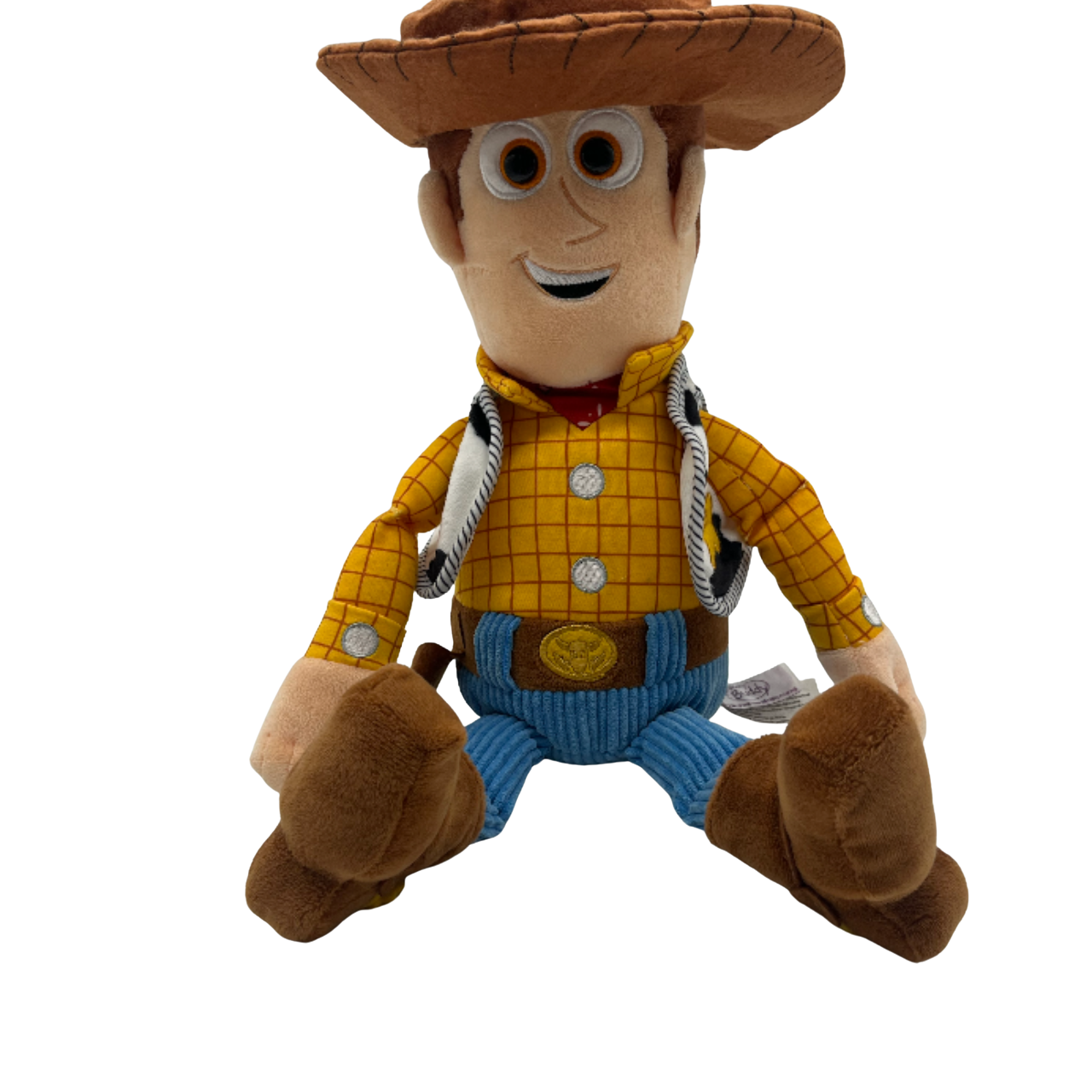 Disney/Pixar Buddy(s)