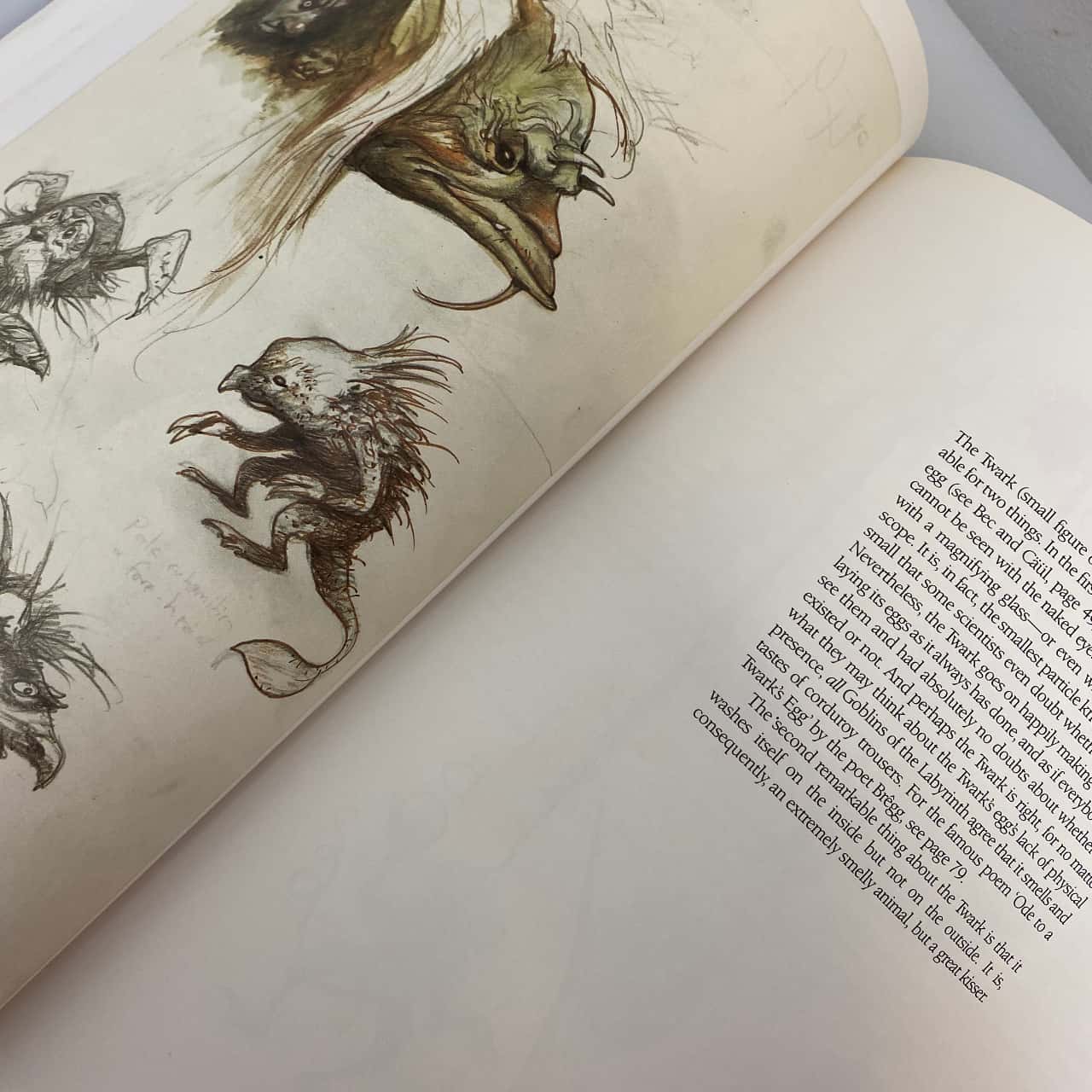 The Goblins Of Labyrinth, First Edition Book - Brian Ford and Terry ...