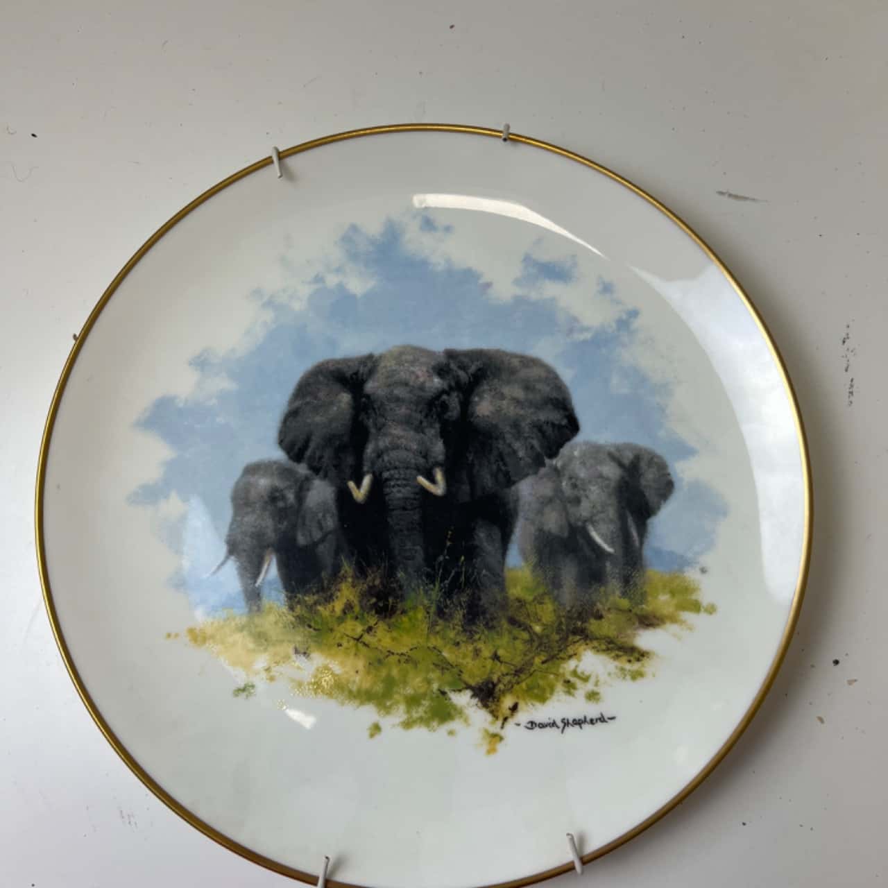 Wedgwood David Shepard wildlife collection Elephant plate(s)