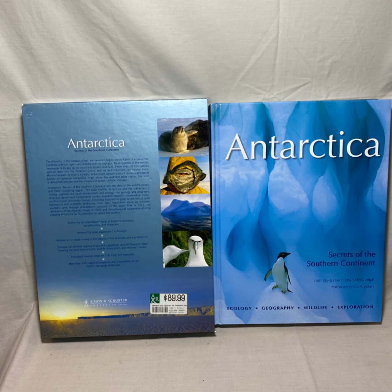 Antarctica Secrets of the Southern Continent(s)