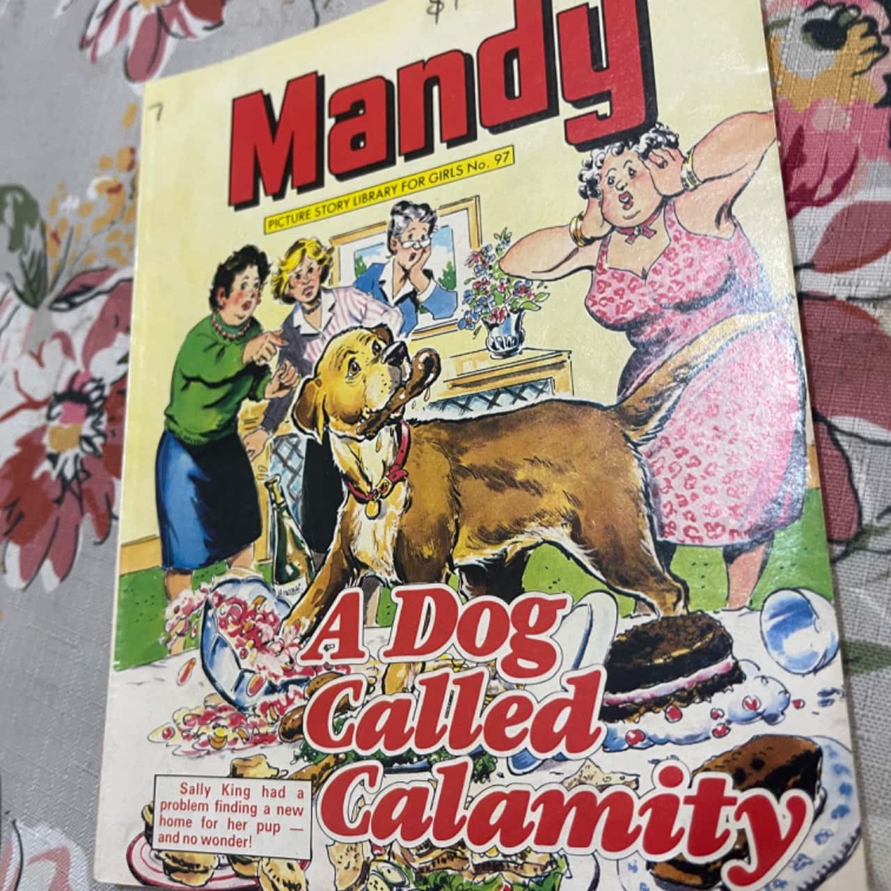 Mandy a dog called calamity (b5)(s)