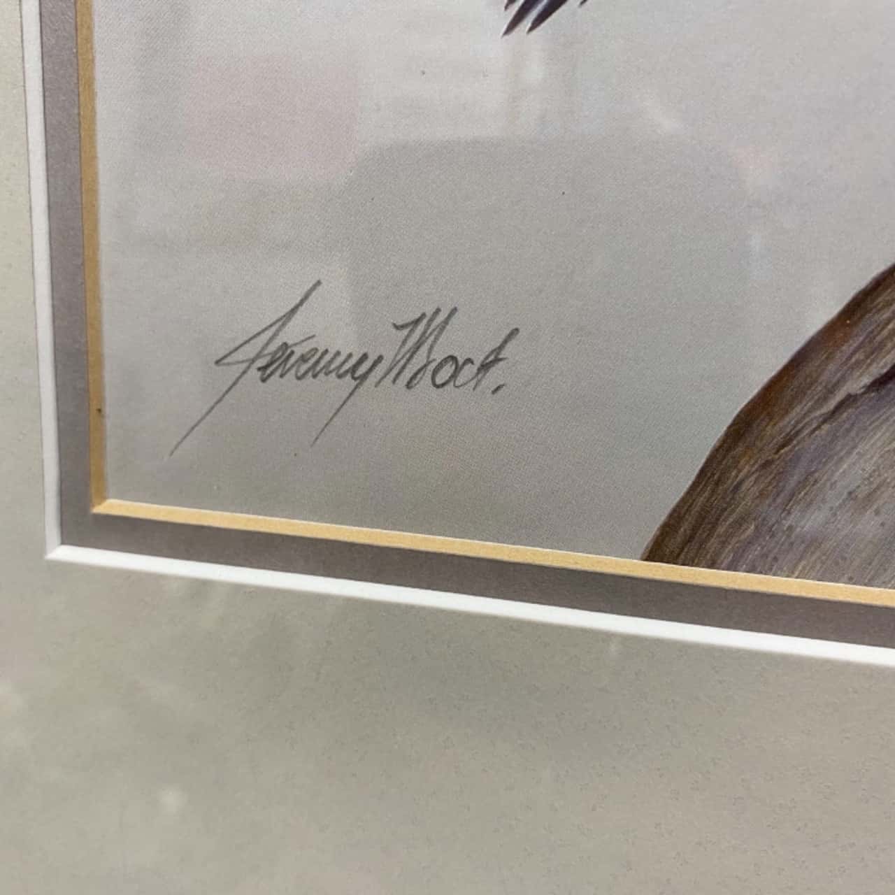 Jeremy Boot Black Cockatoo painting (s)