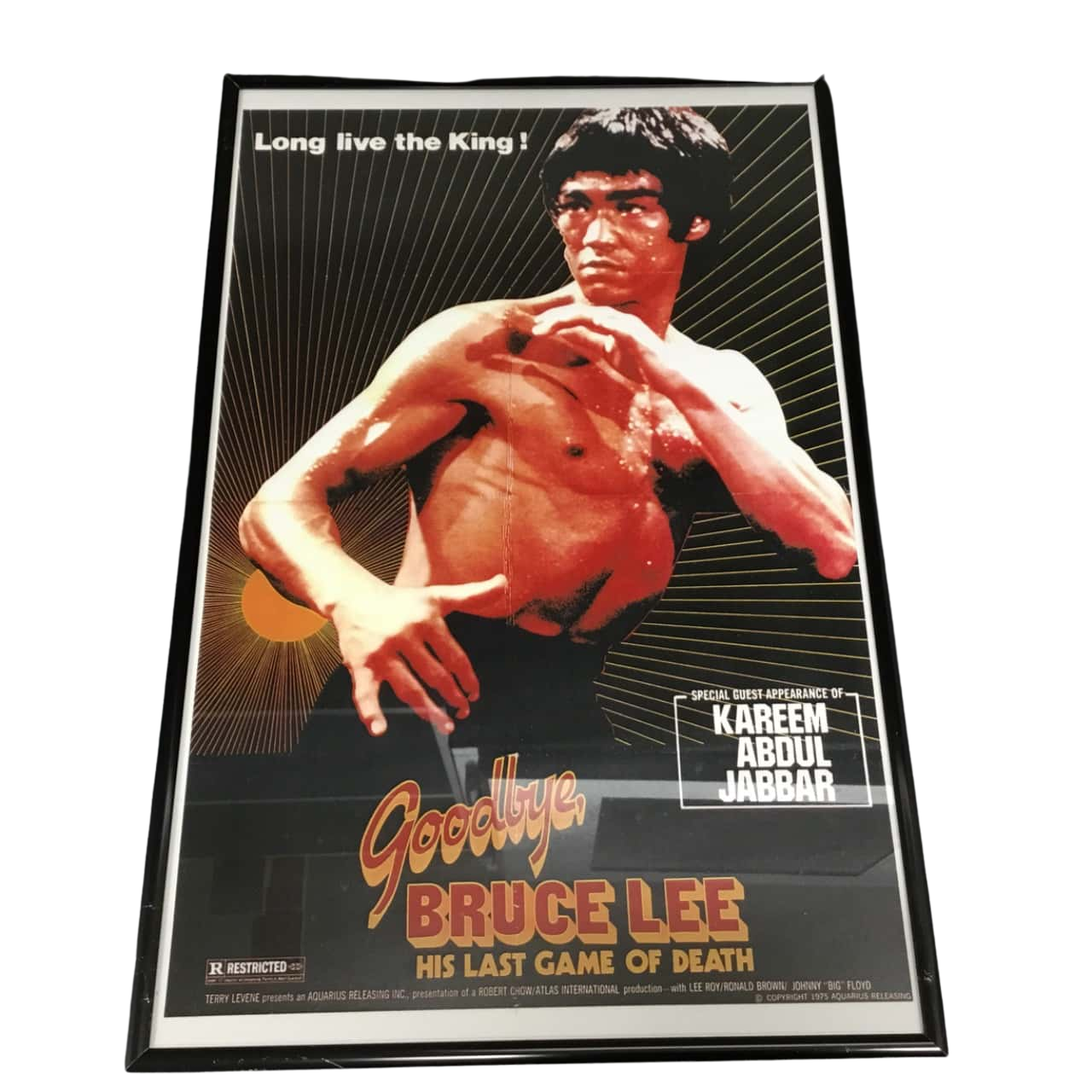 Goodbye, Bruce Lee His Last Game Of Death Picture Approx 44 x 29cm