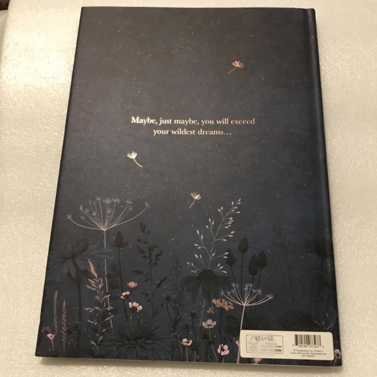 Children’s HC Book “ Maybe” A story about the endless potential in all of us