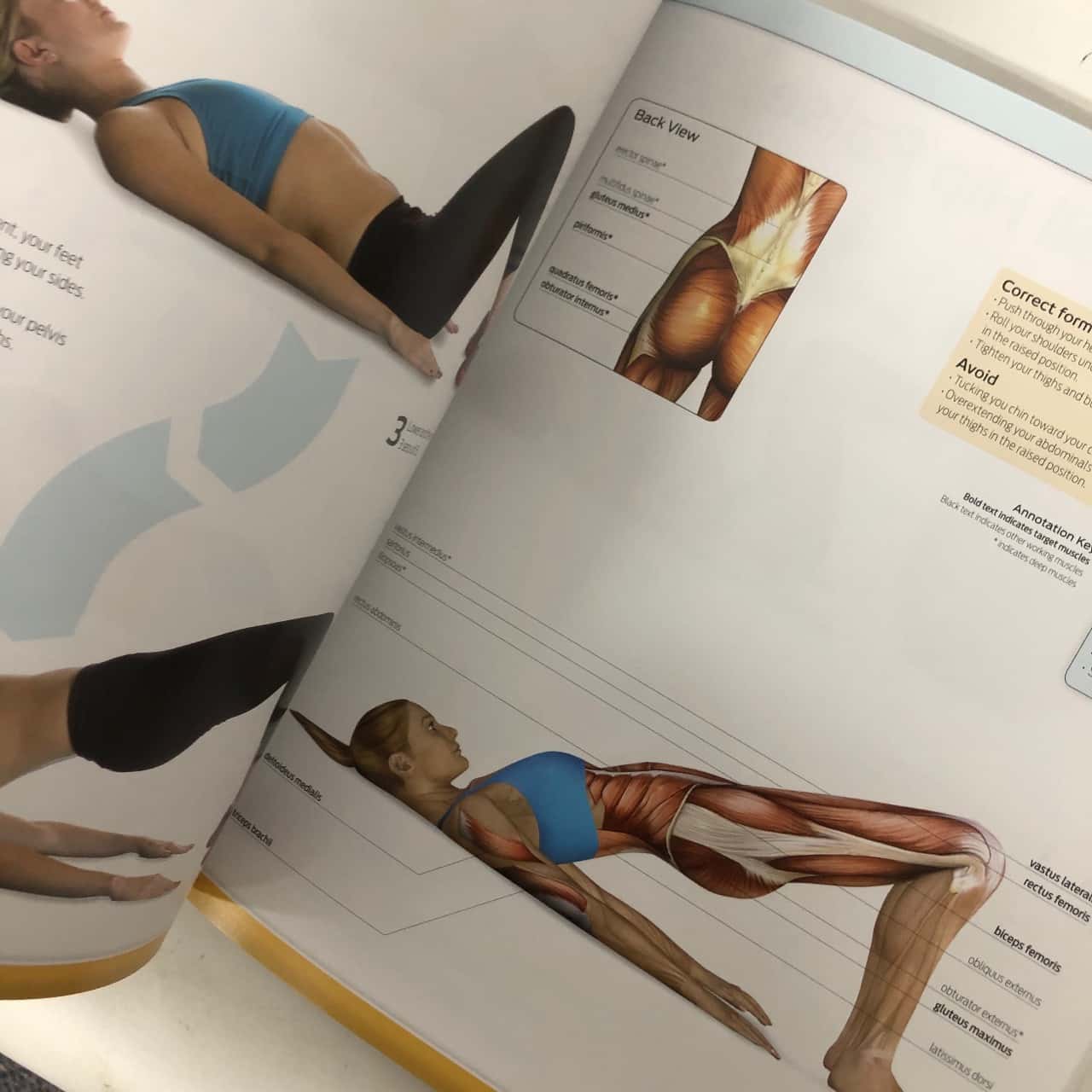 Core Anatomy of Fitness - Hollis Lance Liebman - NEW(s)