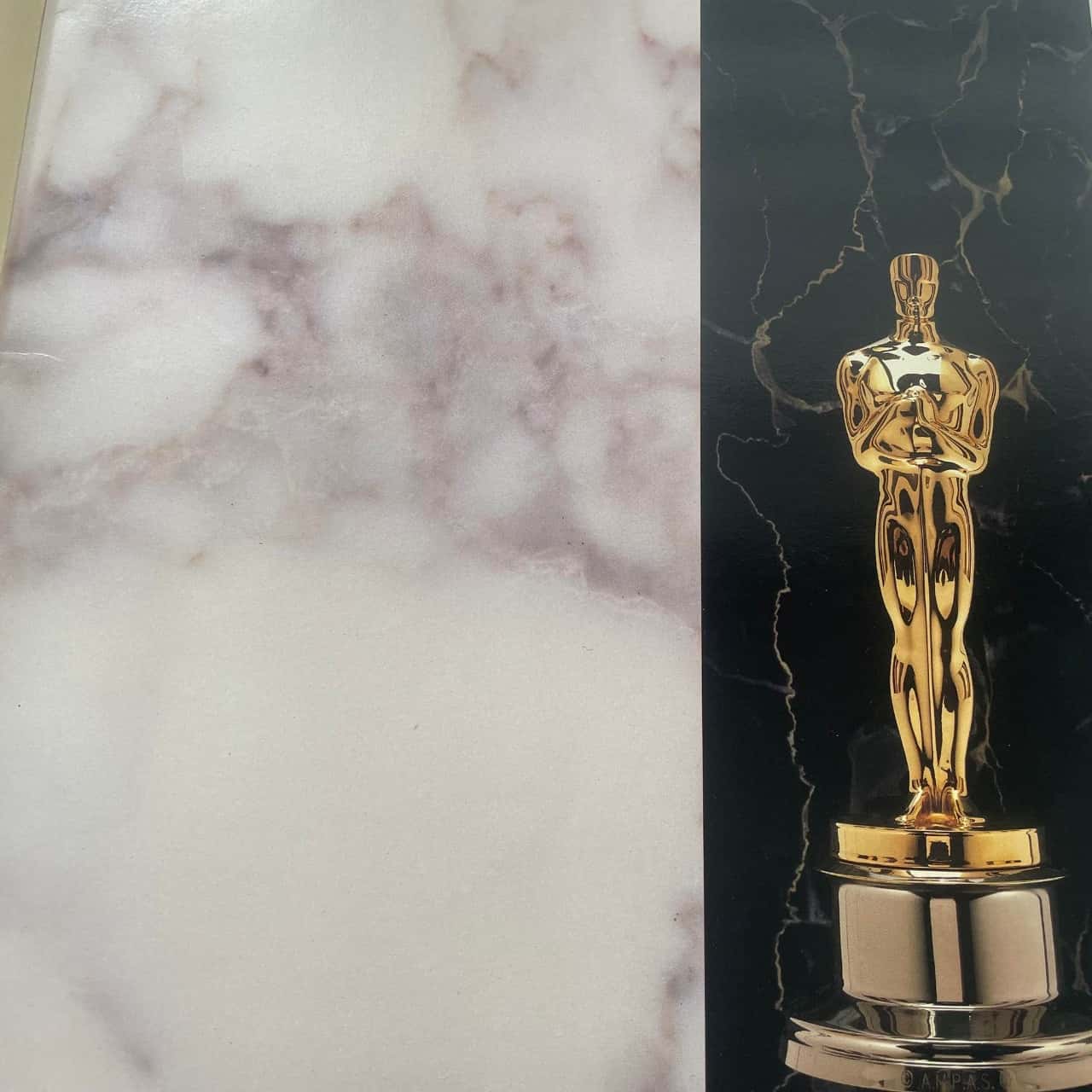 62nd Academy Awards Program