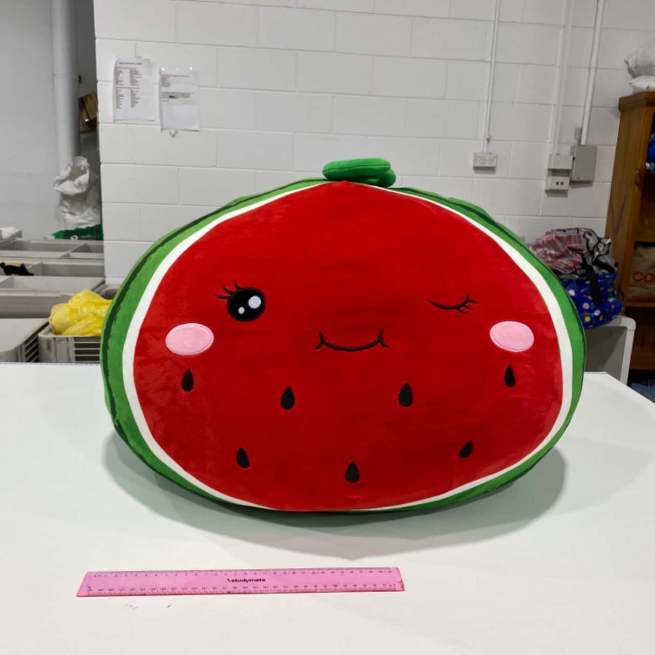 Giant Watermelon Plush (Christmas Gift Idea)